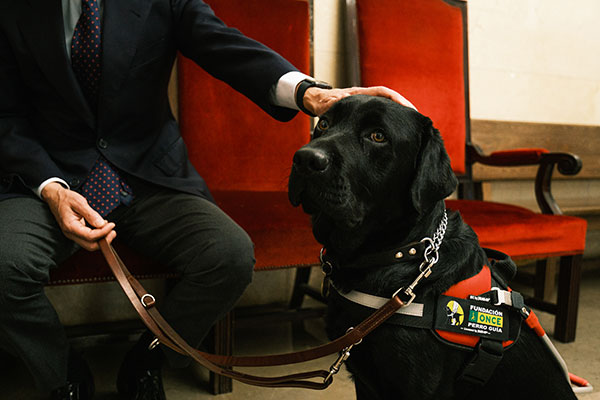 El primer juez de España en incorporar un perro guía a su vida
